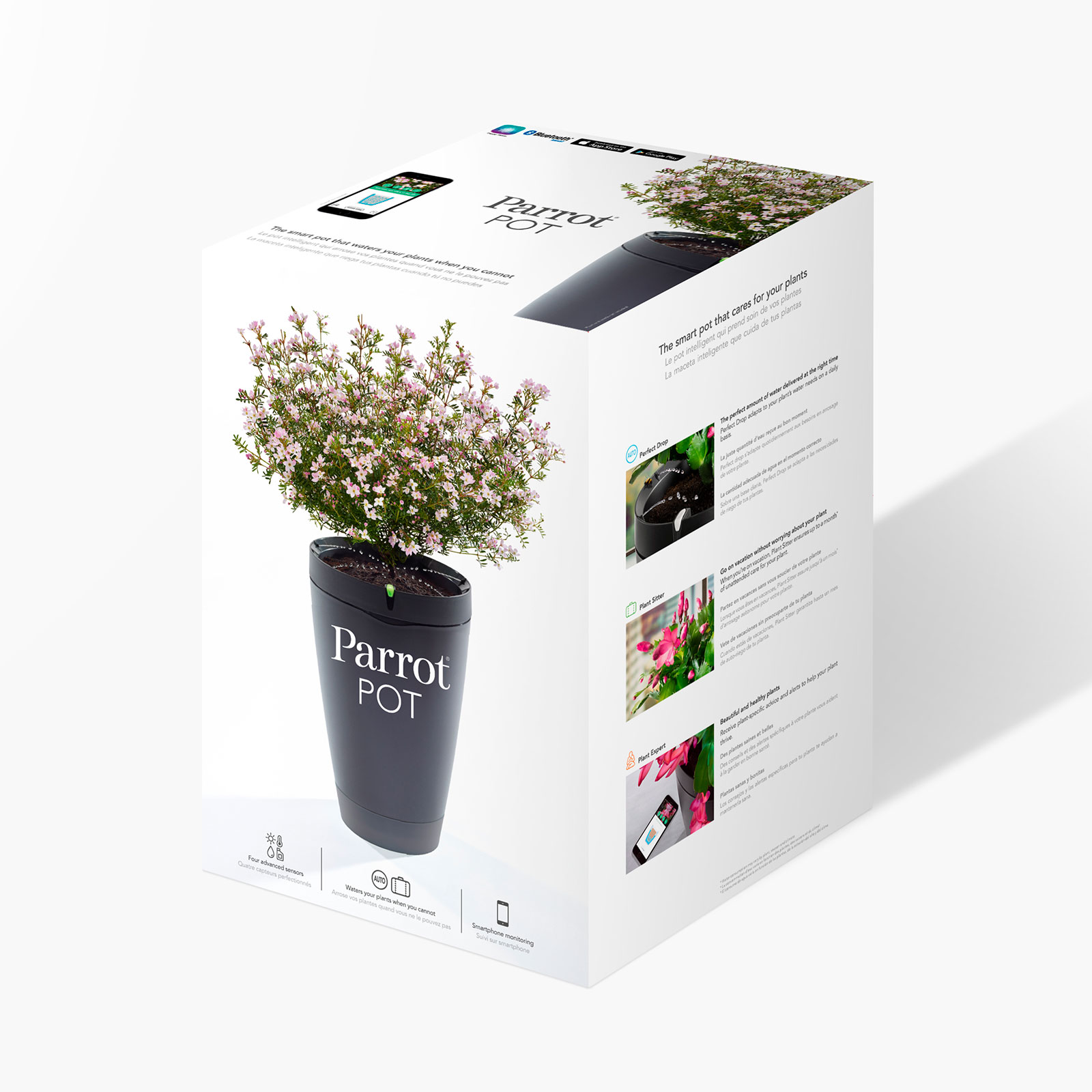 Parrot returns to the garden with the "Pot" – Pickr