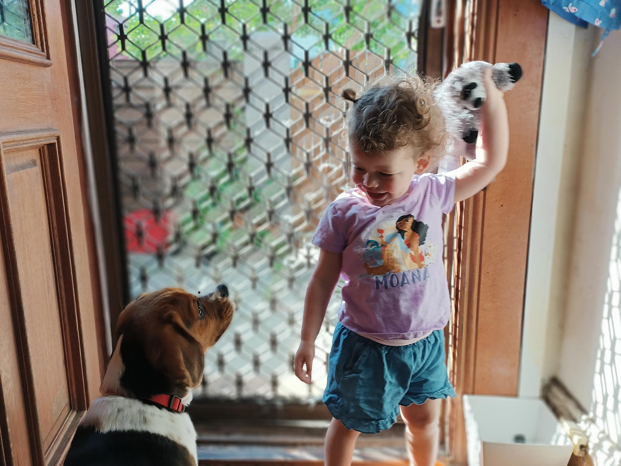 Review: Oppo Reno Z (CPH1979) – Pickr