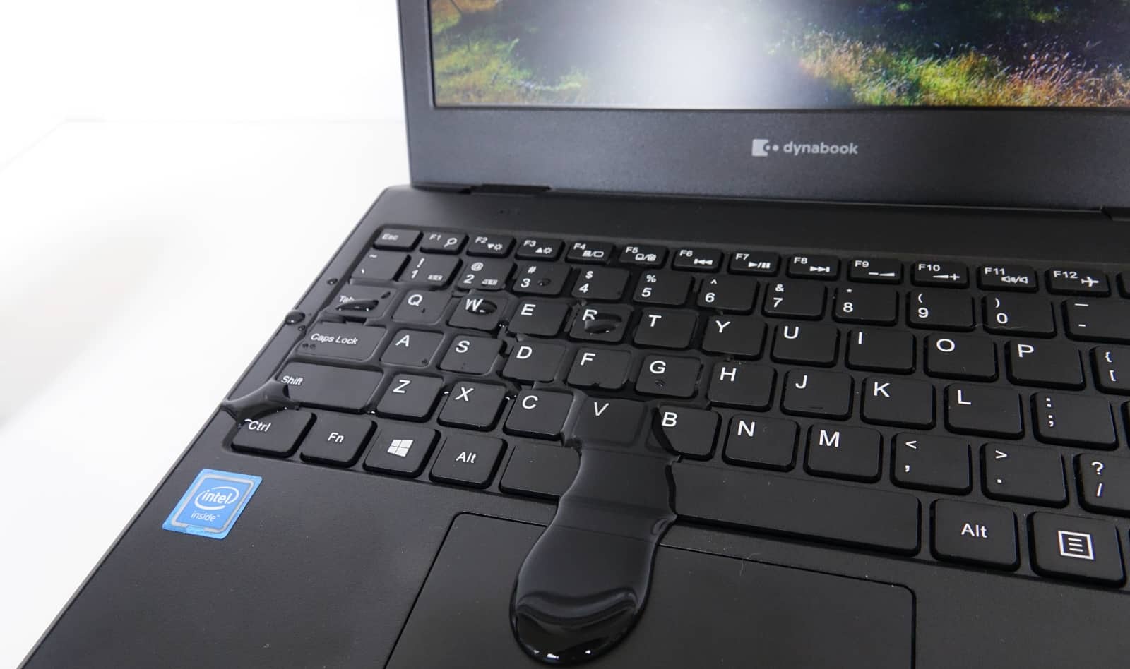 Dynabook E10-S review – Pickr